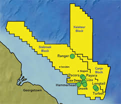 Exxon submits Field Development Plan, EIA for Payara