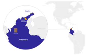 NG Energy increases Colombian oil, natural gas reserves with new ...