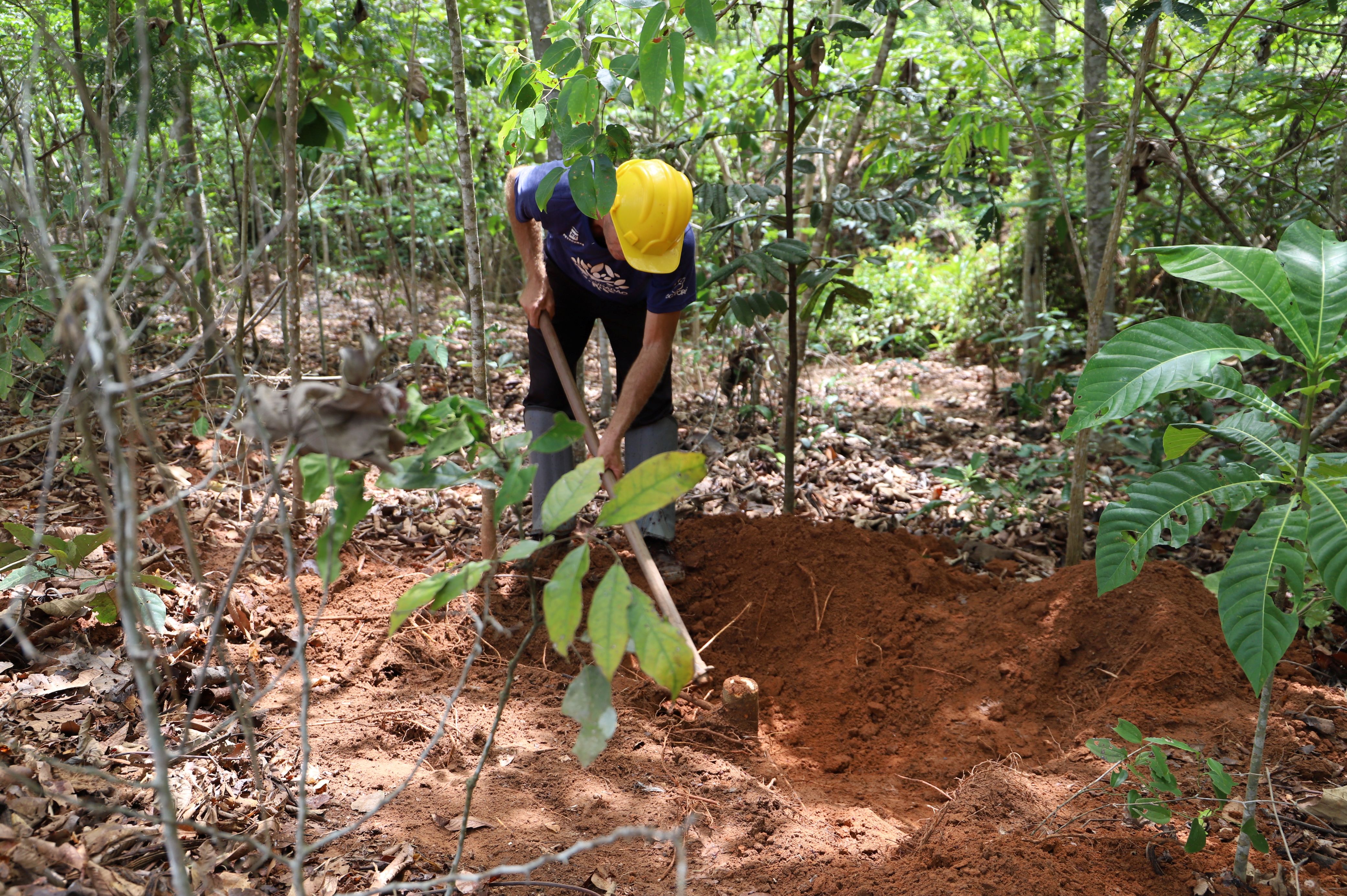 Petrobras and Shell Brazil Launch Carbon Countdown, the Largest Carbon Stock Inventory Ever ...